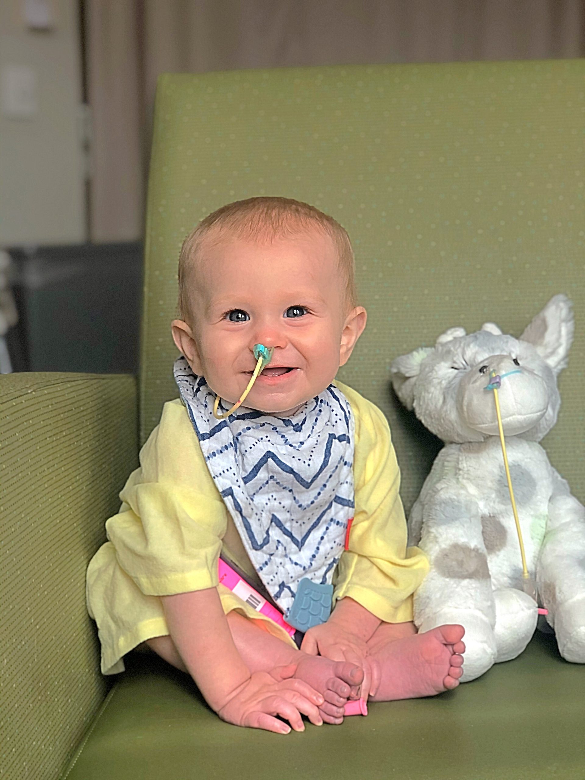 Veja o AMT Bridle Pro®: Freio Nasal para Sonda Nasogástrica